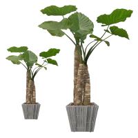 China Handmade Square Shape Metal Frame Wicker Flower Pot with Plastic Original Green OEM Customized Style for sale