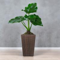 China Factory Hot Sale Metal Frame PE Rattan Weather Resistance Indoor Outdoor Planter Stand Popular Flower Pot for sale