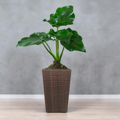 China Factory Hot Sale Metal Frame PE Rattan Weather Resistance Indoor Outdoor Planter Stand Popular Flower Pot for sale