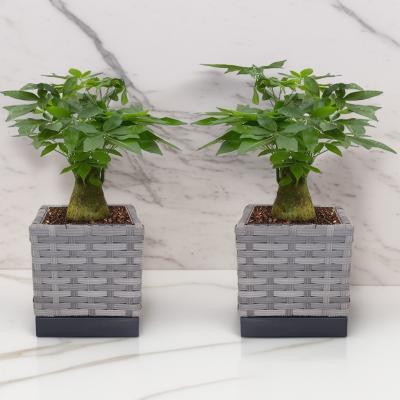 China Set of 2 Latest Popular Garden Planter Metal Frame Weather Resistance PE Rattan Flowerpot Plant Pot for sale