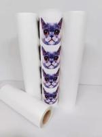 China A3 30cm DTF PET Transfer Film OEM service For Heat Transfer Printing for sale
