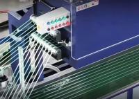 China Built for Versatility: Multi-Format PET Extrusion for Production Line for sale