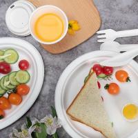 China Green 100% Biodegradable Compostable Party Tableware Eco Friendly Disposable Plates for sale