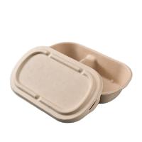 China 850ml 1000ml Biodegradable Bagasse Tableware Greaseproof Microwave Container With Lid for sale