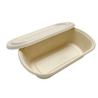 China 850ml 1000ml Biodegradable Bagasse Tableware Greaseproof Microwave Container With Lid for sale