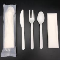 China 9in PLA Compostable CPLA Cutlery 100% Biodegradable Forks And Spoons Knives for sale