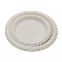 China 9in 10in Round Cornstarch Disposable Plates Biodegradable Round Plate Tableware for sale