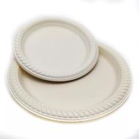 China 9in 10in Round Cornstarch Disposable Plates Biodegradable Round Plate Tableware for sale