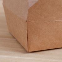 China FDA 2000ml Biodegradable Disposable Tableware 337gsm Lunch Box Paper Food Container for sale