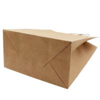 China Kraft Biodegradable Disposable Tableware 130g 135g White Gift Bag With Handles for sale