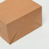 China 250gsm 300gsm Biodegradable Disposable Tableware Brown Paper Bags With Handles for sale