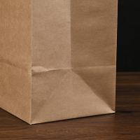 China 250gsm 300gsm Biodegradable Disposable Tableware Brown Paper Bags With Handles for sale
