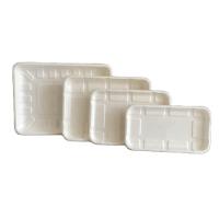 China Fruit Sugarcane Bagasse Pulp Weddings Vegetable Disposable Meat Microwave Safe Tray for sale