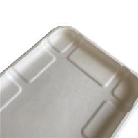China Fruit Sugarcane Bagasse Pulp Weddings Vegetable Disposable Meat Microwave Safe Tray for sale