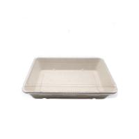 China 11g Dinnerware Fast Food Biodegradable Bagasse Tableware Sushi Tray With Pet Lid for sale