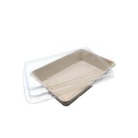 China 11g Dinnerware Fast Food Biodegradable Bagasse Tableware Sushi Tray With Pet Lid for sale