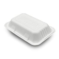 China 7 X 5in Biodegradable Sugarcane Bagasse Pulp Hinged Food Container Take Out Lunch Box for sale
