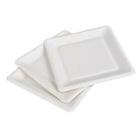 China 9in 10in Eco Friendly Compostable Sugarcane Paper Plates Dessert Square Cake Plate for sale
