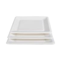 China 9in 10in Eco Friendly Compostable Sugarcane Paper Plates Dessert Square Cake Plate for sale