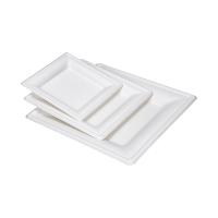 China 9in 10in Eco Friendly Compostable Sugarcane Paper Plates Dessert Square Cake Plate for sale