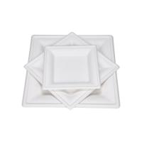 China 9in 10in Eco Friendly Compostable Sugarcane Paper Plates Dessert Square Cake Plate for sale