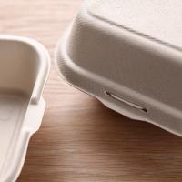 China Nontoxic 21g Biodegradable Bagasse Tableware Pulp Clamshell 6 Inch Bagasse Burger Box for sale
