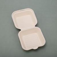 China Virgin 21g Disposable Hamburger Clamshell Box Sugarcane Bagasse Takeaway Boxes for sale