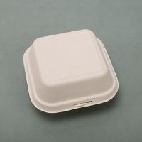 China Nontoxic 21g Biodegradable Bagasse Tableware Pulp Clamshell 6 Inch Bagasse Burger Box for sale