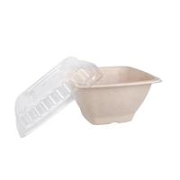 China 16 24 32oz Biodegradable Sugarcane Bagasse Bowl Fruit Salad Containers Box With Cover for sale