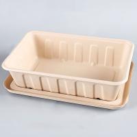 China 450ml 550ml Natural Eco Biodegradable Bagasse Tableware Salad Fast Food To Go Containers for sale