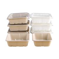 China 450ml 550ml Natural Eco Biodegradable Bagasse Tableware Salad Fast Food To Go Containers for sale