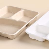 China Disposable Rectangular Biodegradable Sugarcane Bagasse Trays Take Away Trays With Lids for sale