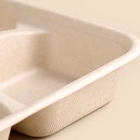 China Disposable Rectangular Biodegradable Sugarcane Bagasse Trays Take Away Trays With Lids for sale
