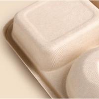China Disposable Rectangular Biodegradable Sugarcane Bagasse Trays Take Away Trays With Lids for sale