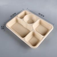China Disposable Rectangular Biodegradable Sugarcane Bagasse Trays Take Away Trays With Lids for sale