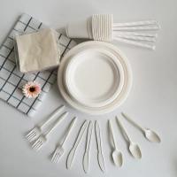 China Eco Sustainable Compostable Disposable Plates Cutlery Disposable Take Out Food Containers for sale
