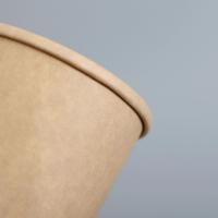 China PE Coated 8oz 12oz Disposable Paper Cup Soup Serving Paper Party Bowls For Hot Cold Food for sale