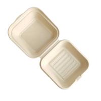 China Virgin 21g Disposable Hamburger Clamshell Box Sugarcane Bagasse Takeaway Boxes for sale
