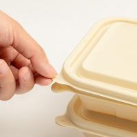 China 500 600ML Disposable Compostable Cornstarch Meal Lunch Box Fast Food Packaging Box for sale