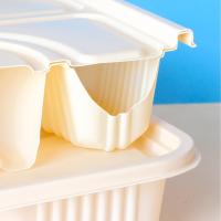 China 10 Inch 3 Compartments Cornstarch Tableware Bento Biodegradable Cornstarch Food Containers for sale