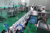 China Industrial Bottle Packing Line Belt Conveyor 600mm Wide for Beverage Plant for sale