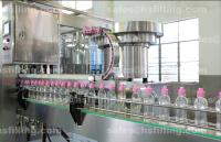 China Full Automatic Water Bottling Machine 10000 BPH Rinsing Filling Capping 3 in 1 for sale