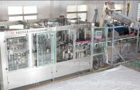 China Plastic Bottle Pesticide Filling Machine 3-in-1 Rinsing Filling Capping 2000-3000 BPH 304 Stainless Steel for sale