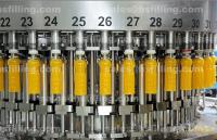 China Customized Stainless Steel Mango Juice Filling Machine Fully Automatic 2000-30000 BPH for sale