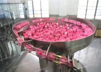 China 3 in 1 Bottle Rinser Filler Capper for Juice Filling Machine 2000-30000 BPH for sale