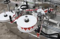 China Automatic Self Adhesive Sticker Labeling Machine for Round Square Bottles 25-100mm Diameter for sale