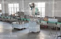 China Plastic / Glass Bottle Capping Equipment for Automatic Filling Line for sale