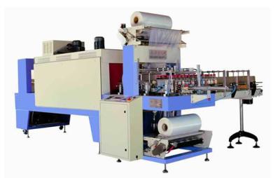 China PE Film Sleeve Sealing Shrink Wrap Machine for sale