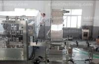 China Automatic 3-in-1 PET Bottle Filling Machine CGF 24-24-8 6000-8000 BPH Liquid Filling for sale