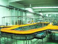 China Industrial Chain Conveyor for Bottle Packing Line 600mm Width Custom Length for sale